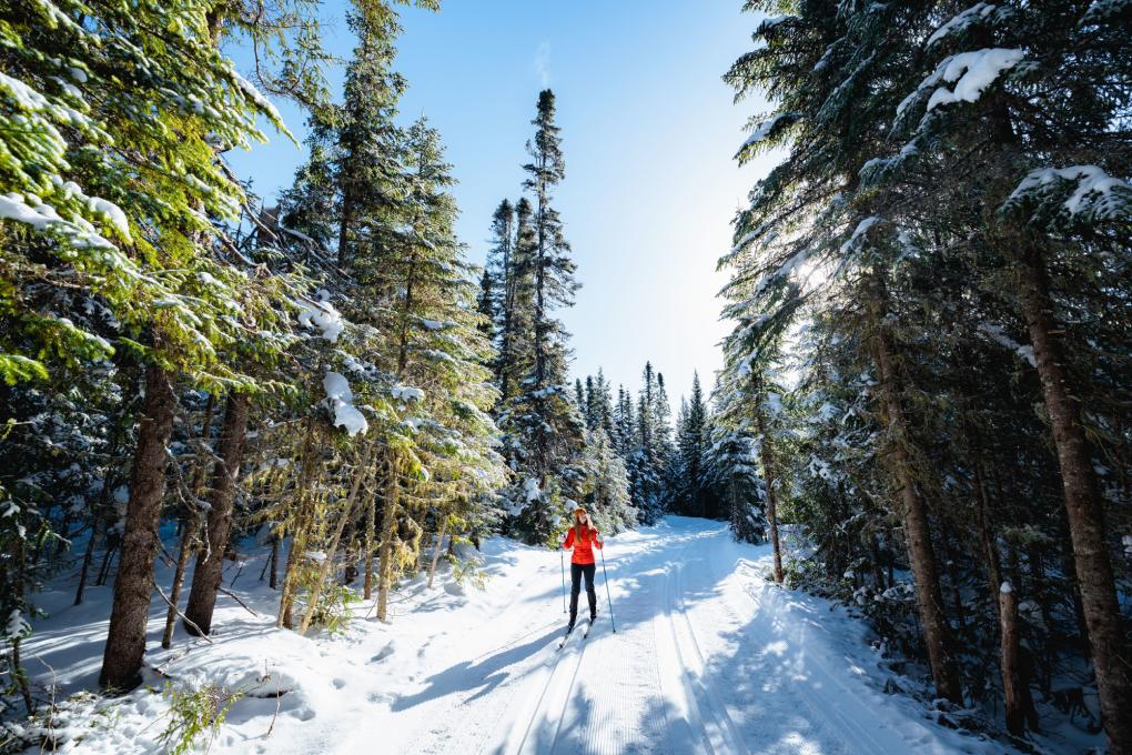 13 Winter Activities to Try in Québec City | Visit Québec City